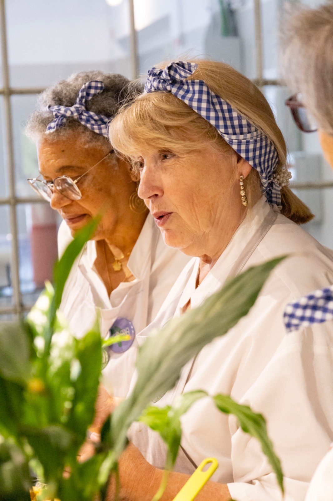 Avó Cooking Lab. Estas avós encontraram liberdade a cozinhar para ...
