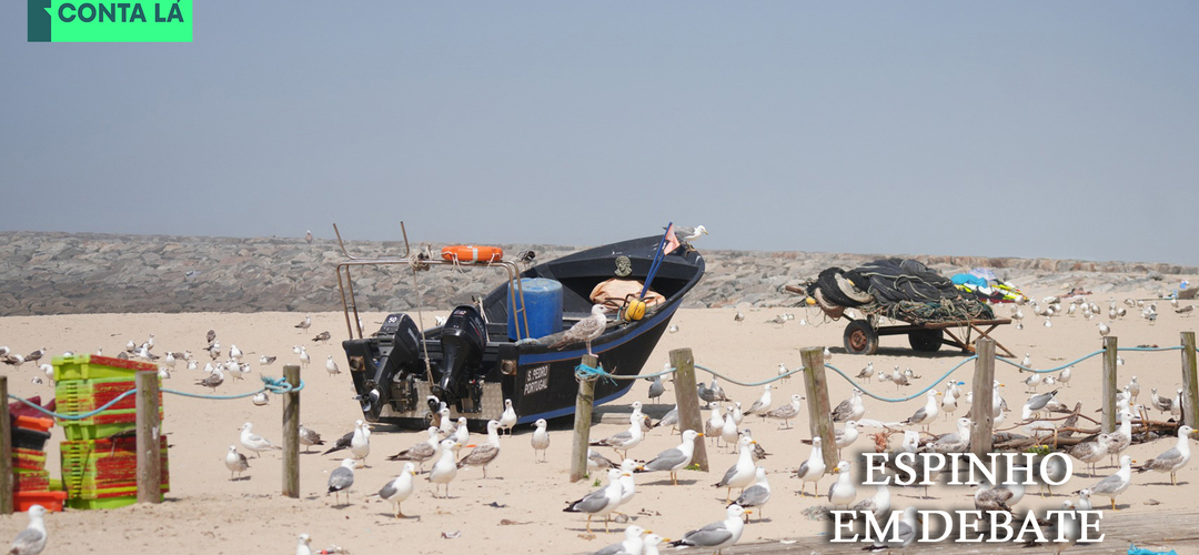 Espinho: Obra do Estádio Municipal e reabilitação habitacional em ...