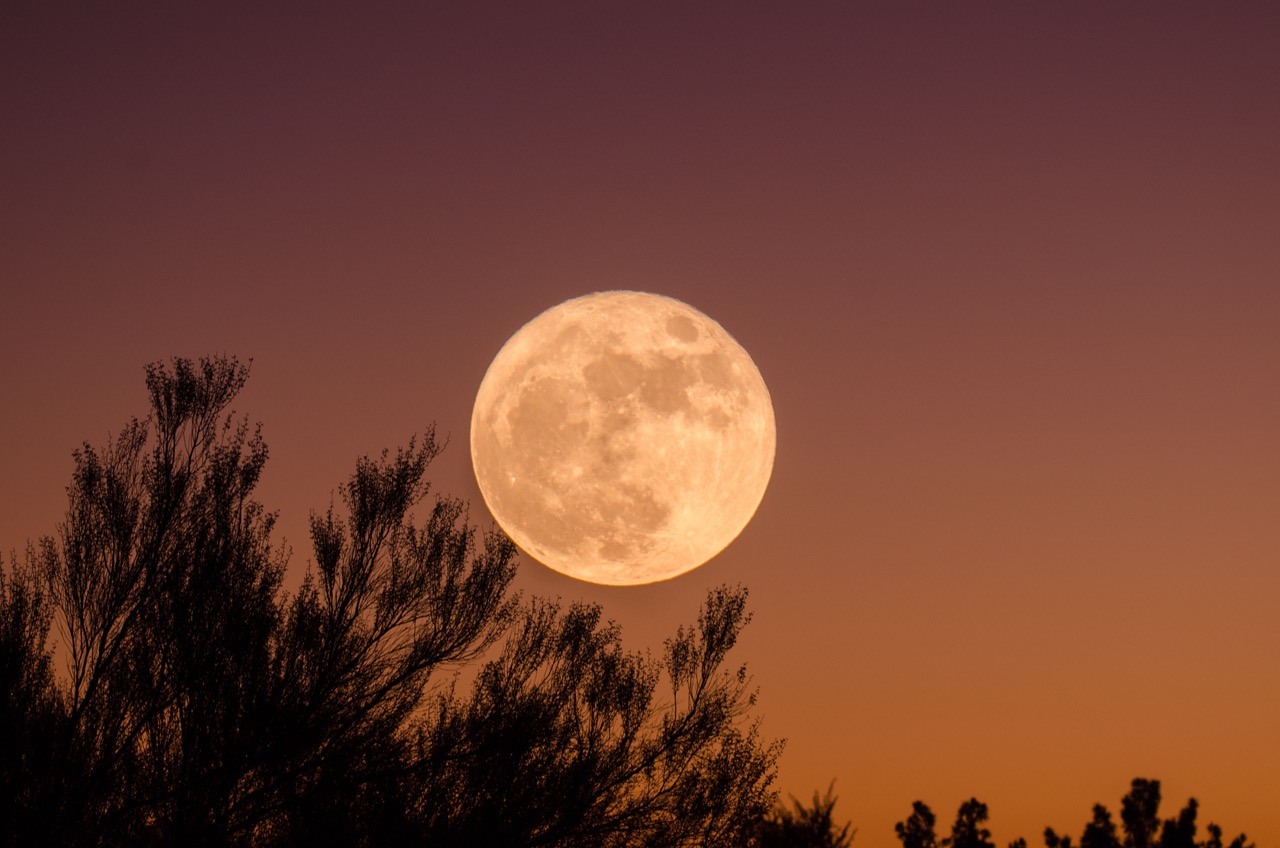 Em véspera de Lua cheia, há sessão de astronomia à noite em Albergaria ...