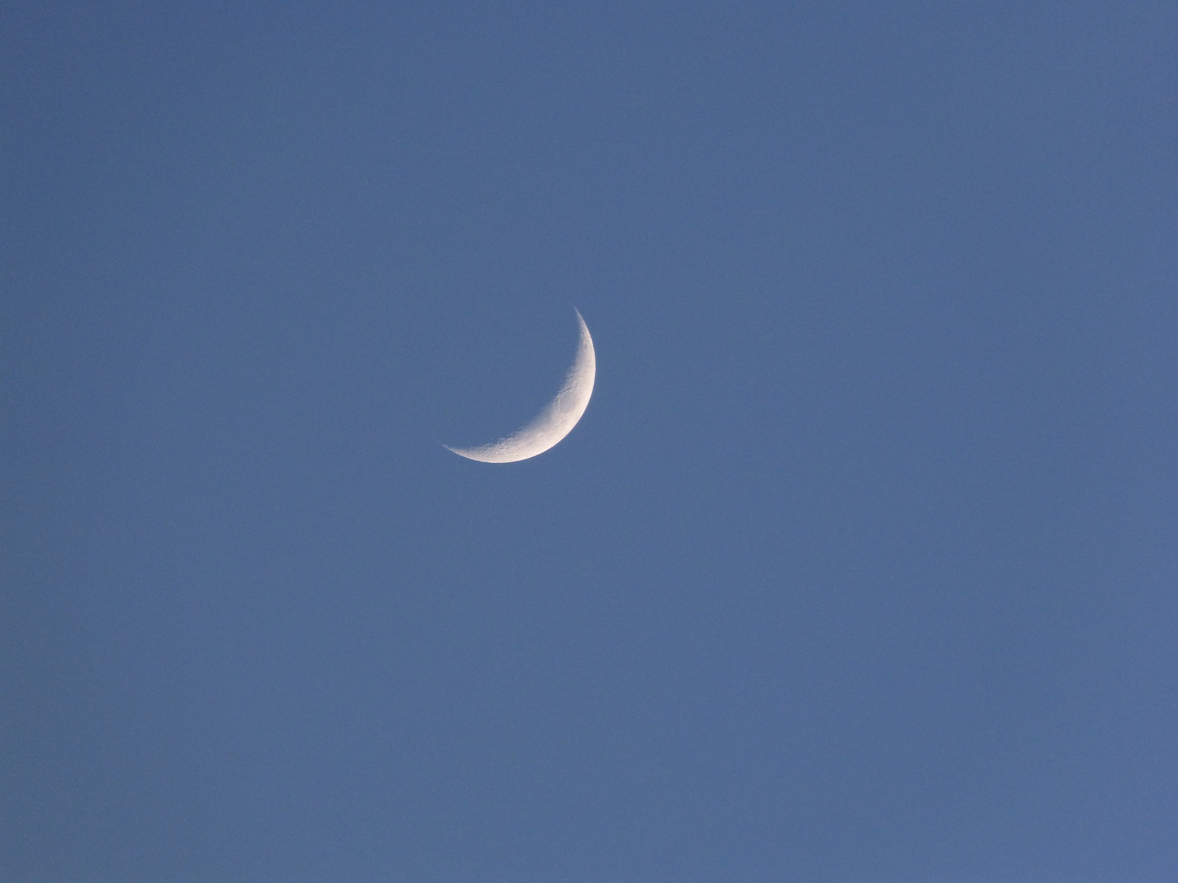 A Poderosa Lua Nova em Touro: O período para Unir estabilidade e revolução