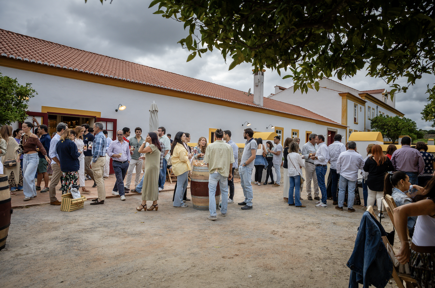 Vinhos, petiscos e música ao pôr do sol regressam à Serra de São Mamede